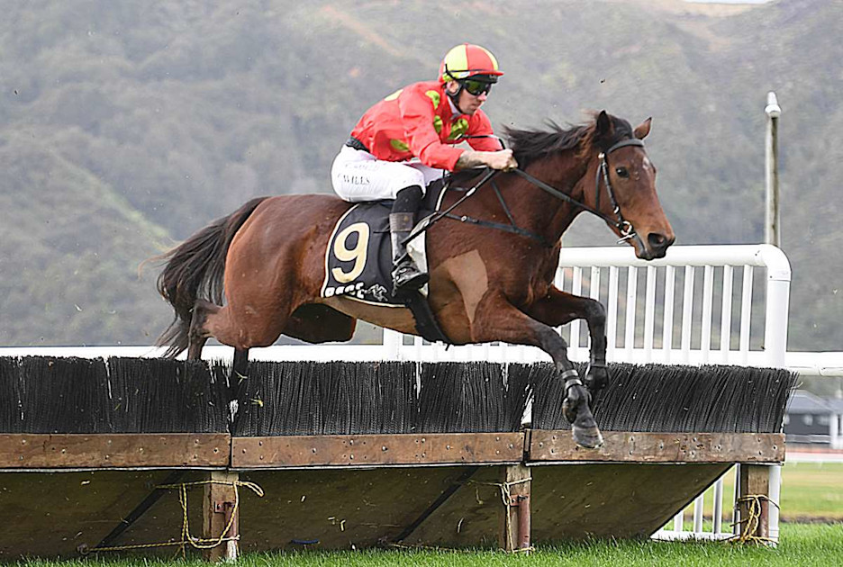 Great New Zealand Hurdle favourite faces huge challenge