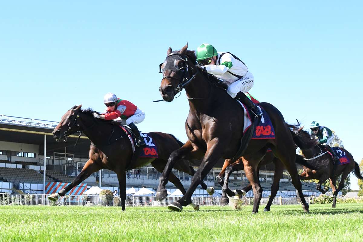 George Simon: Why I love this racing game