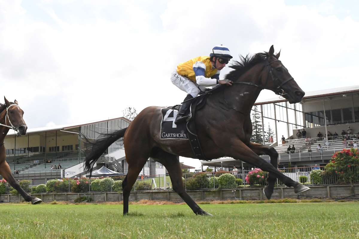 First open test for improving gelding