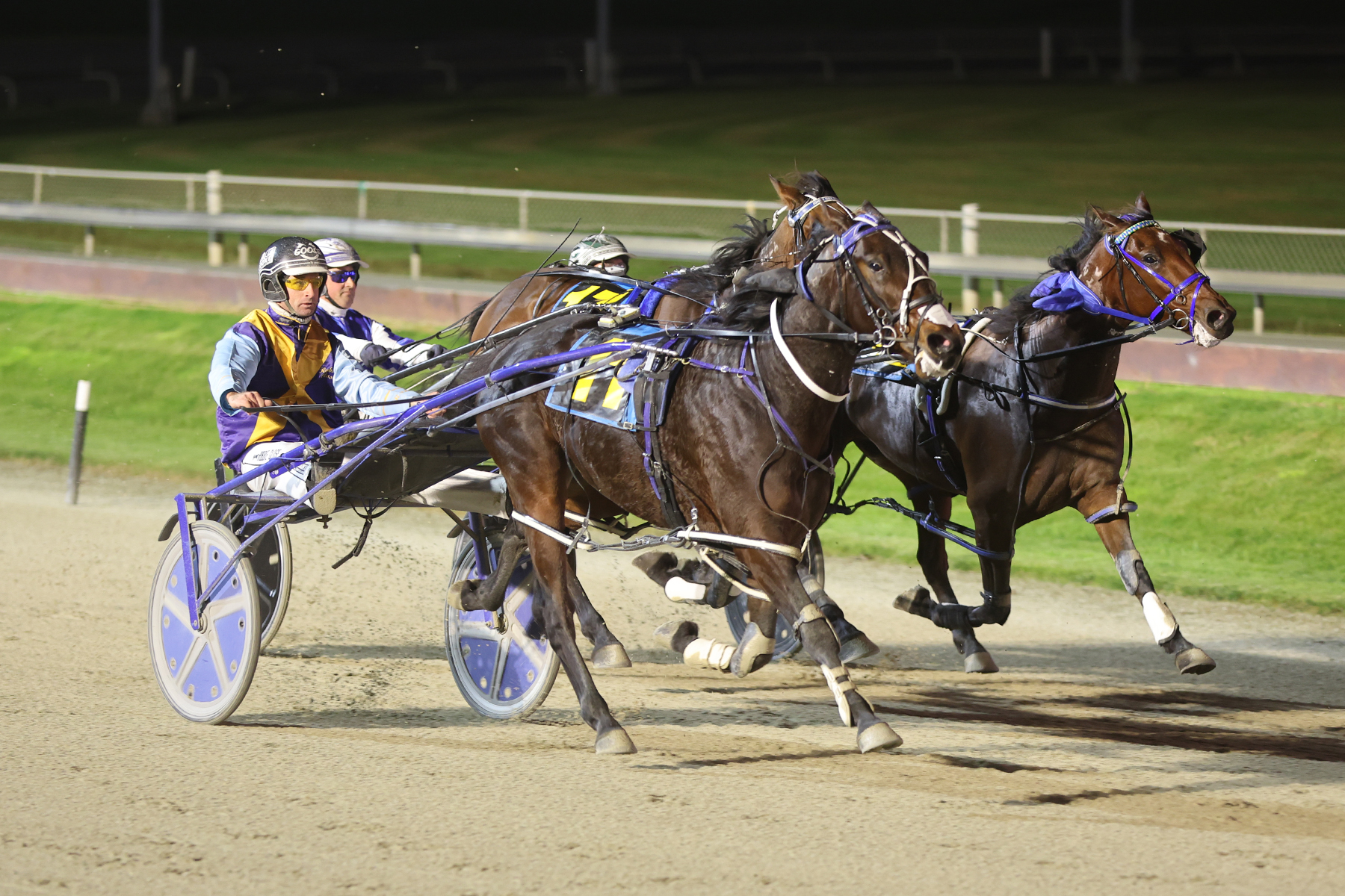 Betterthancash ready for surprise campaign extension