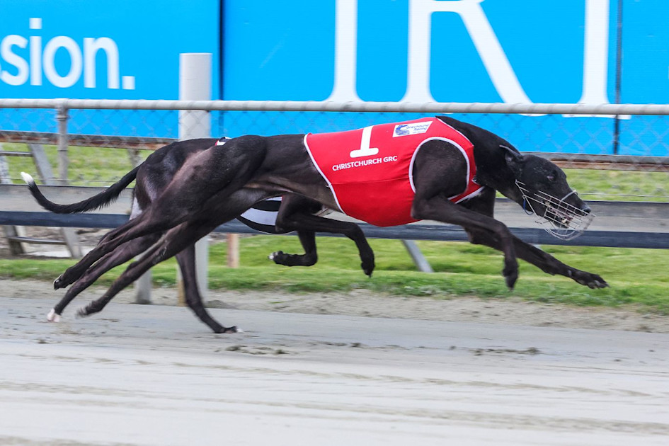 The all-important NZ Cup meeting box draws