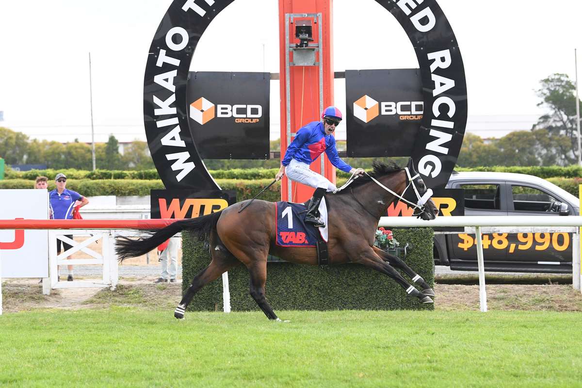 Shocking sires rare Group One double