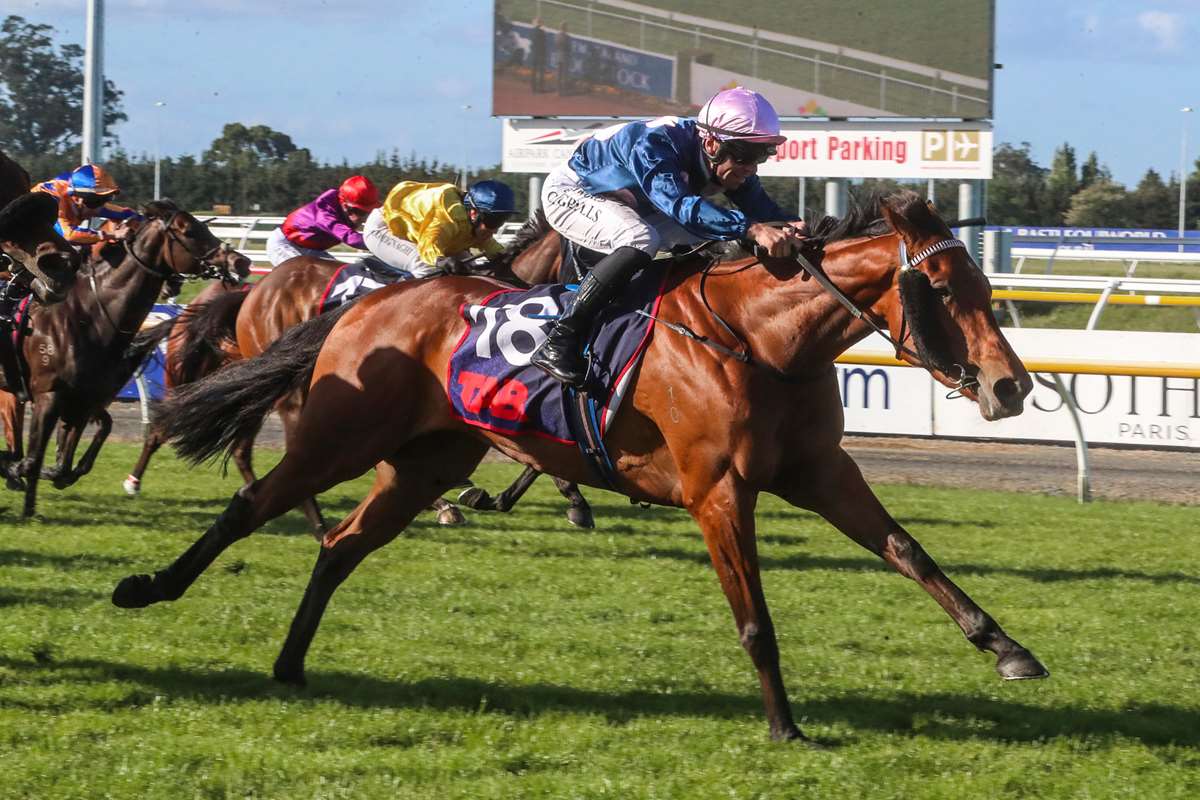 Hot stable sets sights on Pukekohe staying prize