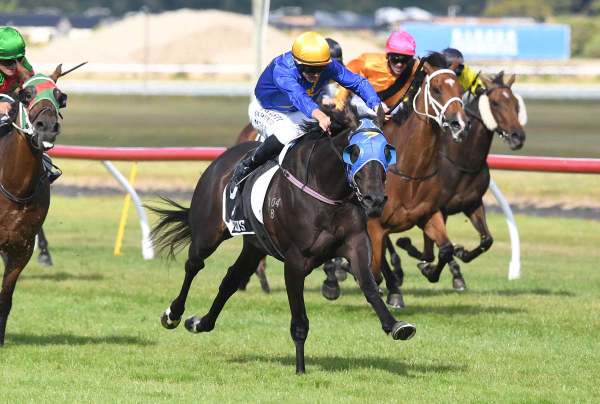 Wellington Cup Carnival: Stephen Hunt runs the numbers