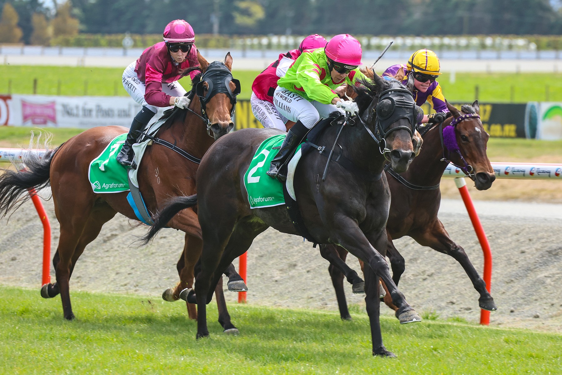 Pitman’s careful planning to the fore in Breeders’ Stakes