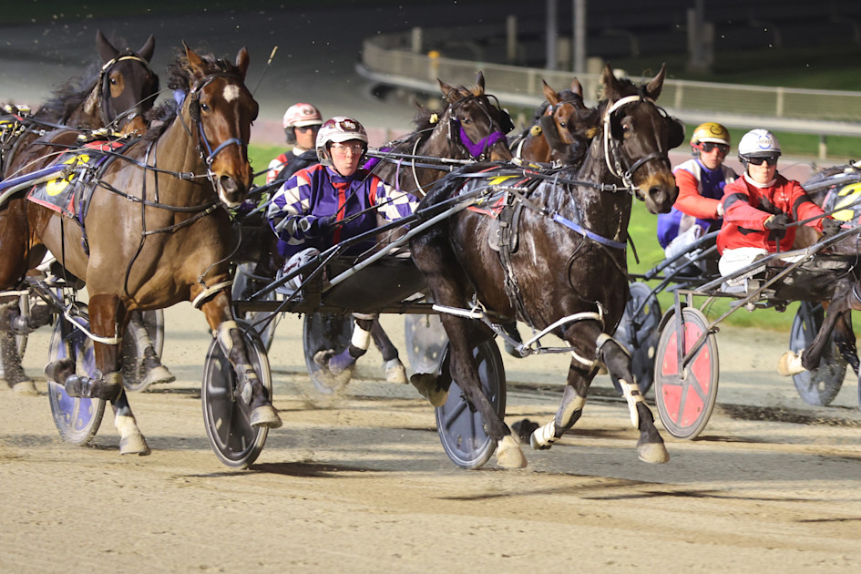 Otago mare out to pillage some Canterbury silk on Sunday