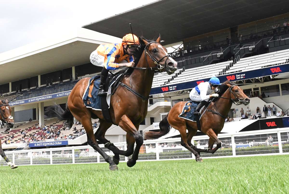 Return To Conquer’s race plans delayed after Aussie setback