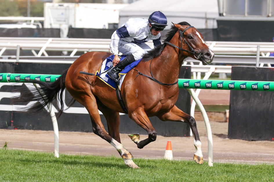 Dunell snaps breeding success on Melbourne Cup Day