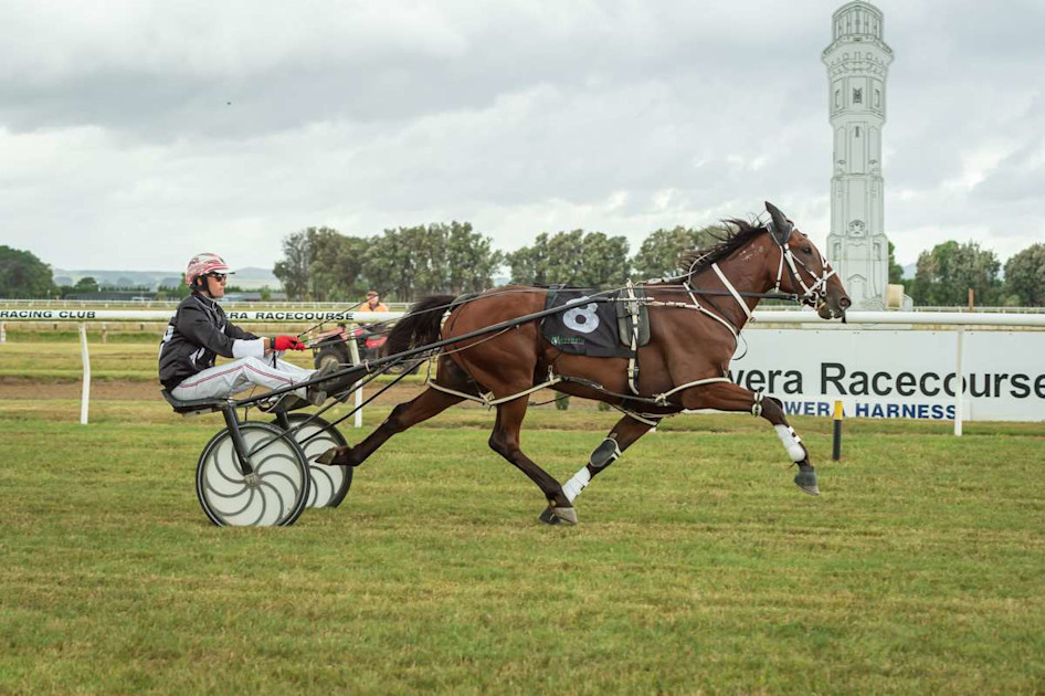 Michael Hay returns to driving ranks at Manawatu