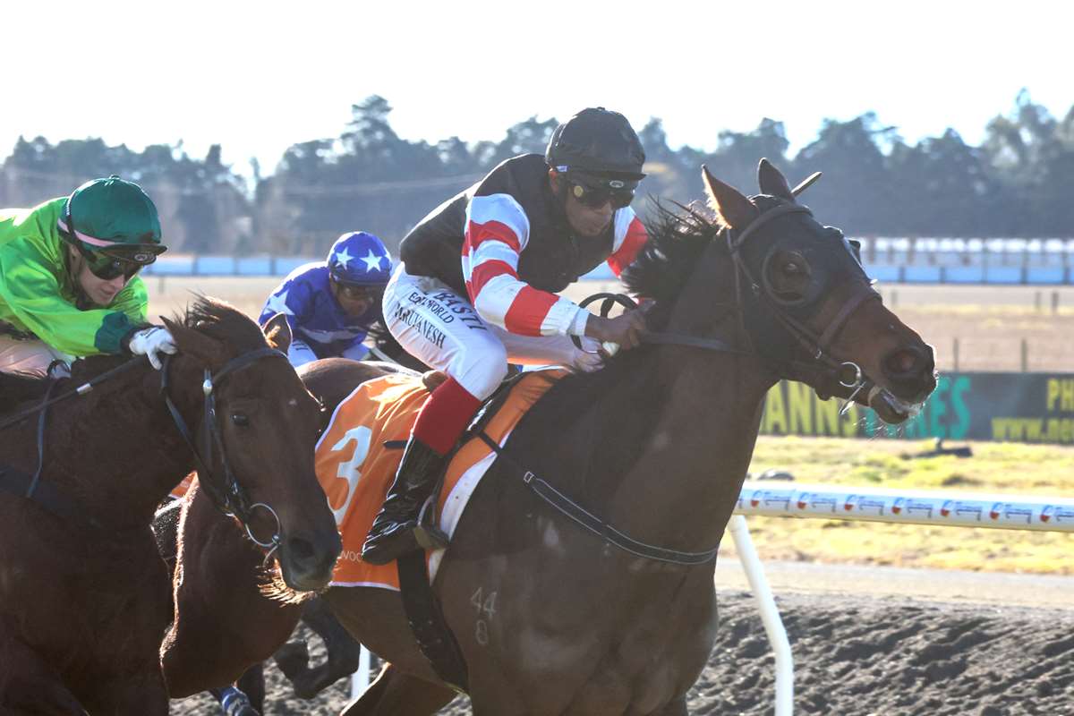 Theoden seeking to maintain strong record at Ascot Park