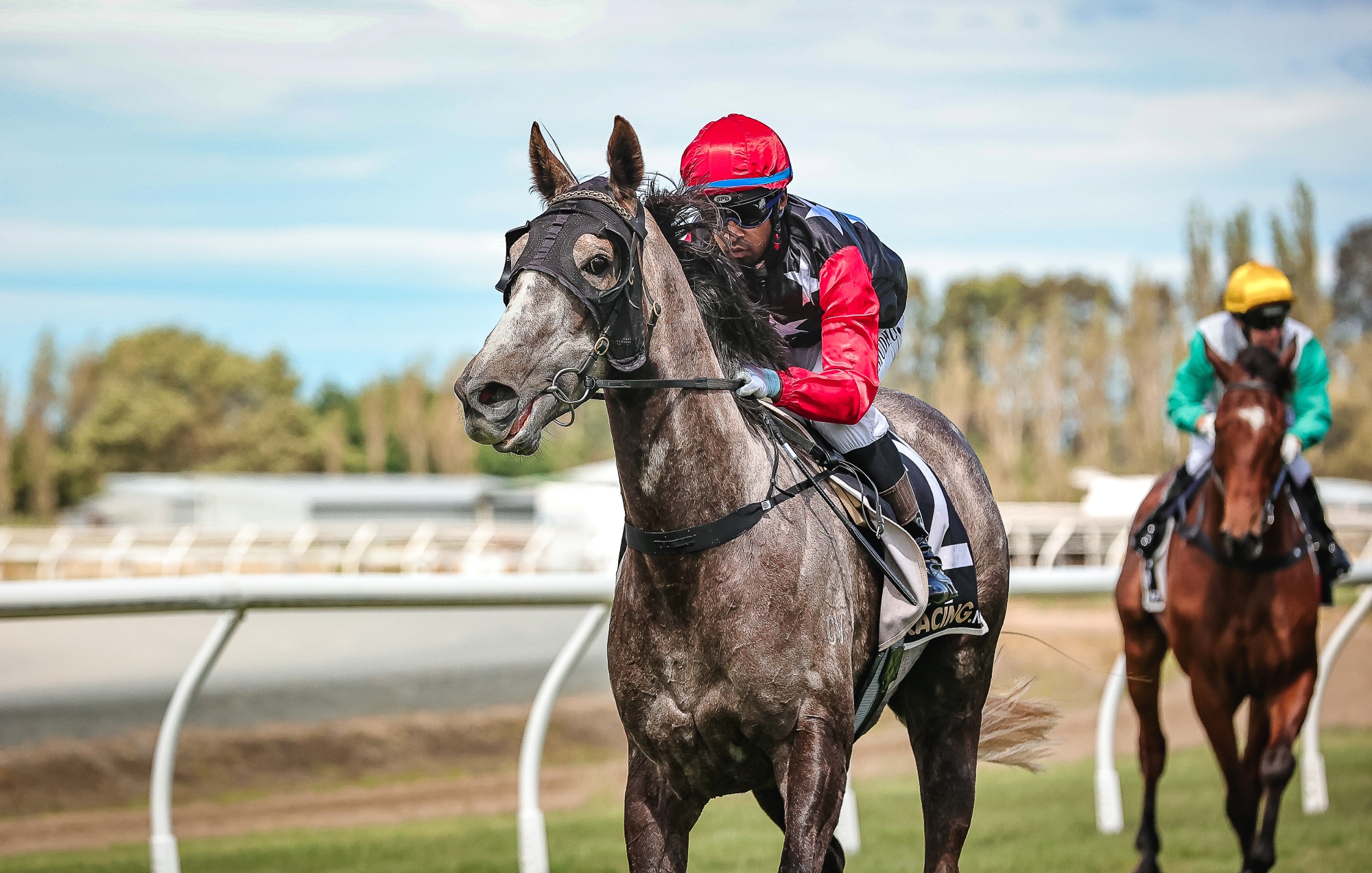 The Grey Goose spreads her wings in Winton Cup