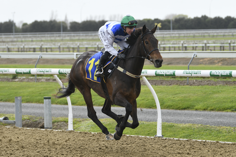 Ruakaka to set Pearl on Group One path