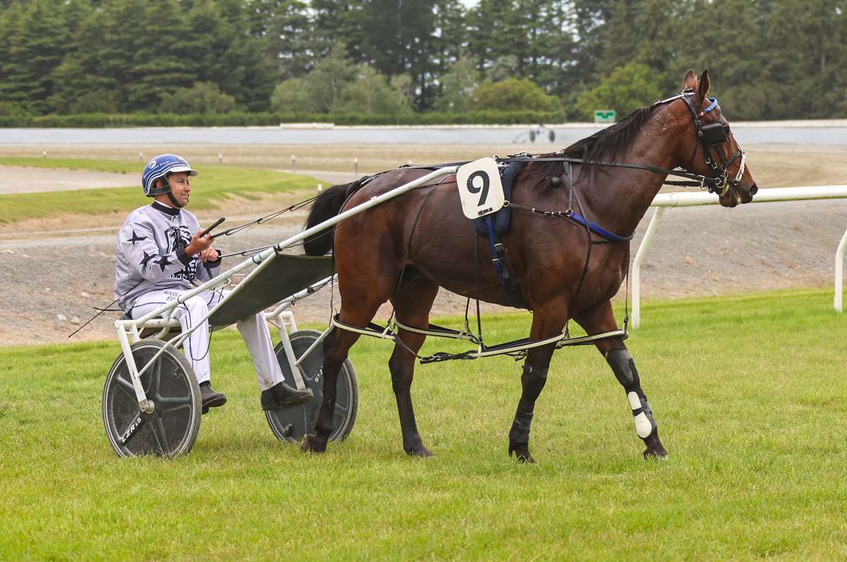 Tabasco Hot Horse with Max Hill in the hot seat at Winton