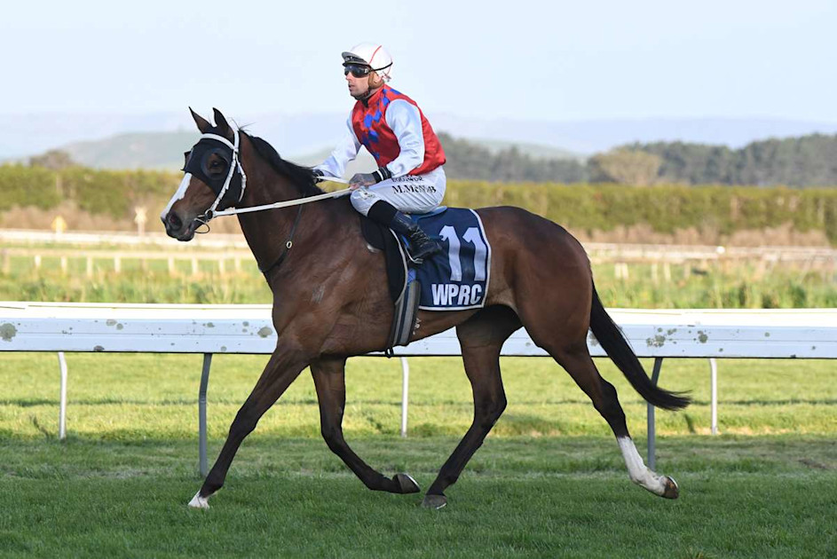 Picking winners he wishes will win at Ōtaki: Justin Evans