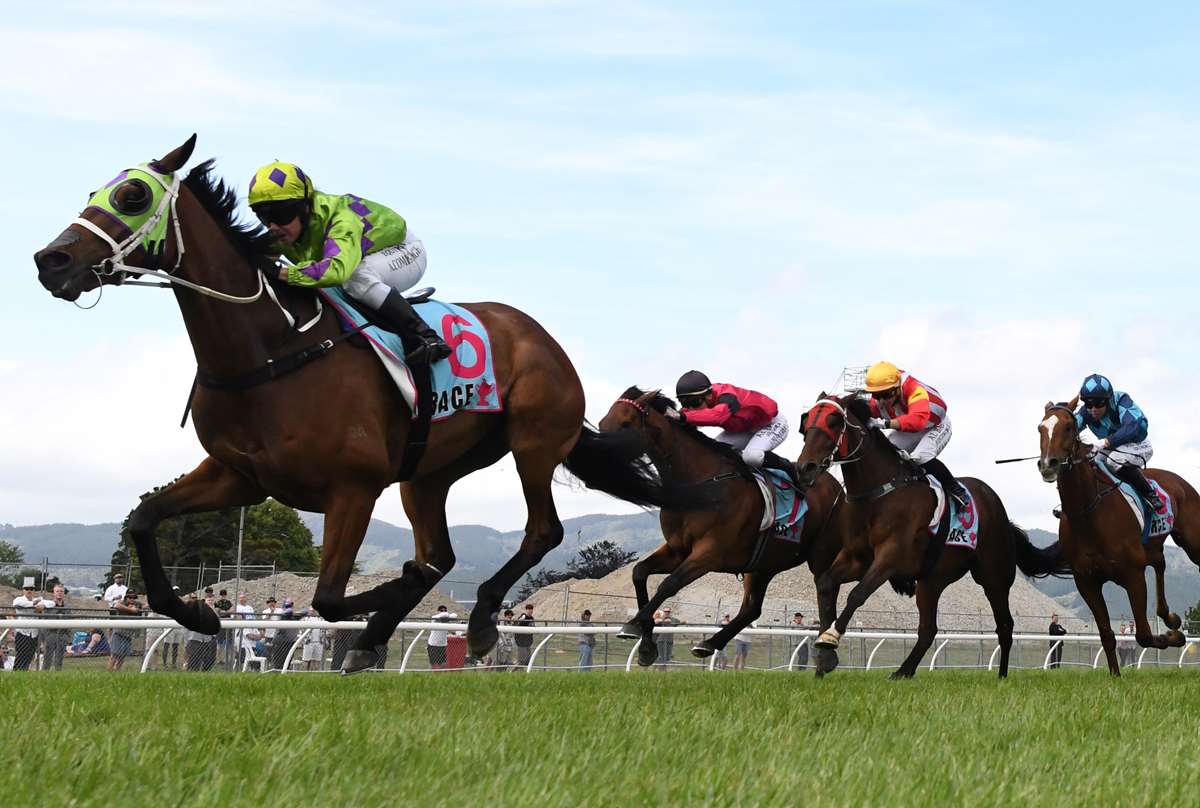 Run the Numbers: Stephen Hunt previews Wellington Cup Day