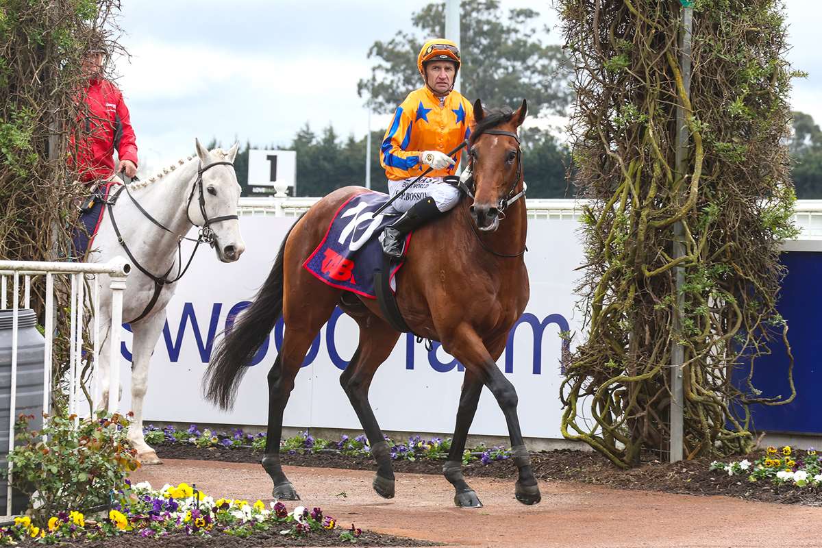 Stephen Hunt analyses the weekend's racing