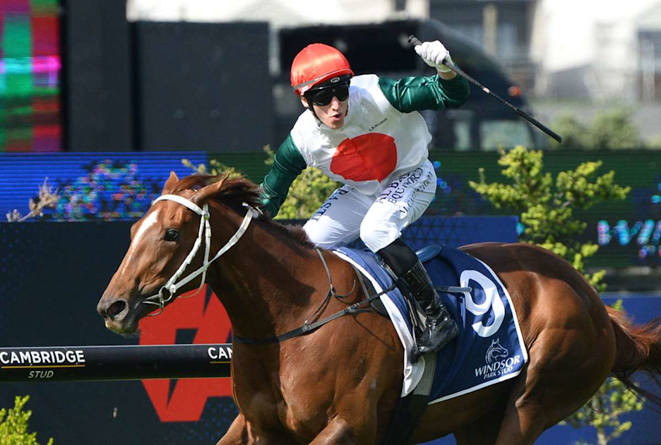 Girls in Green could dominate as huge Cup carnivals overlap