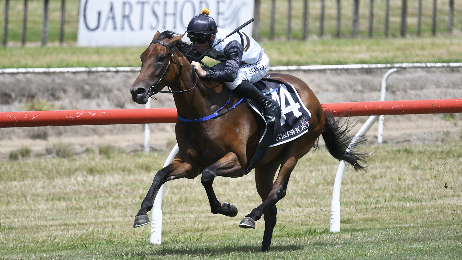 Way Out West makes winning debut