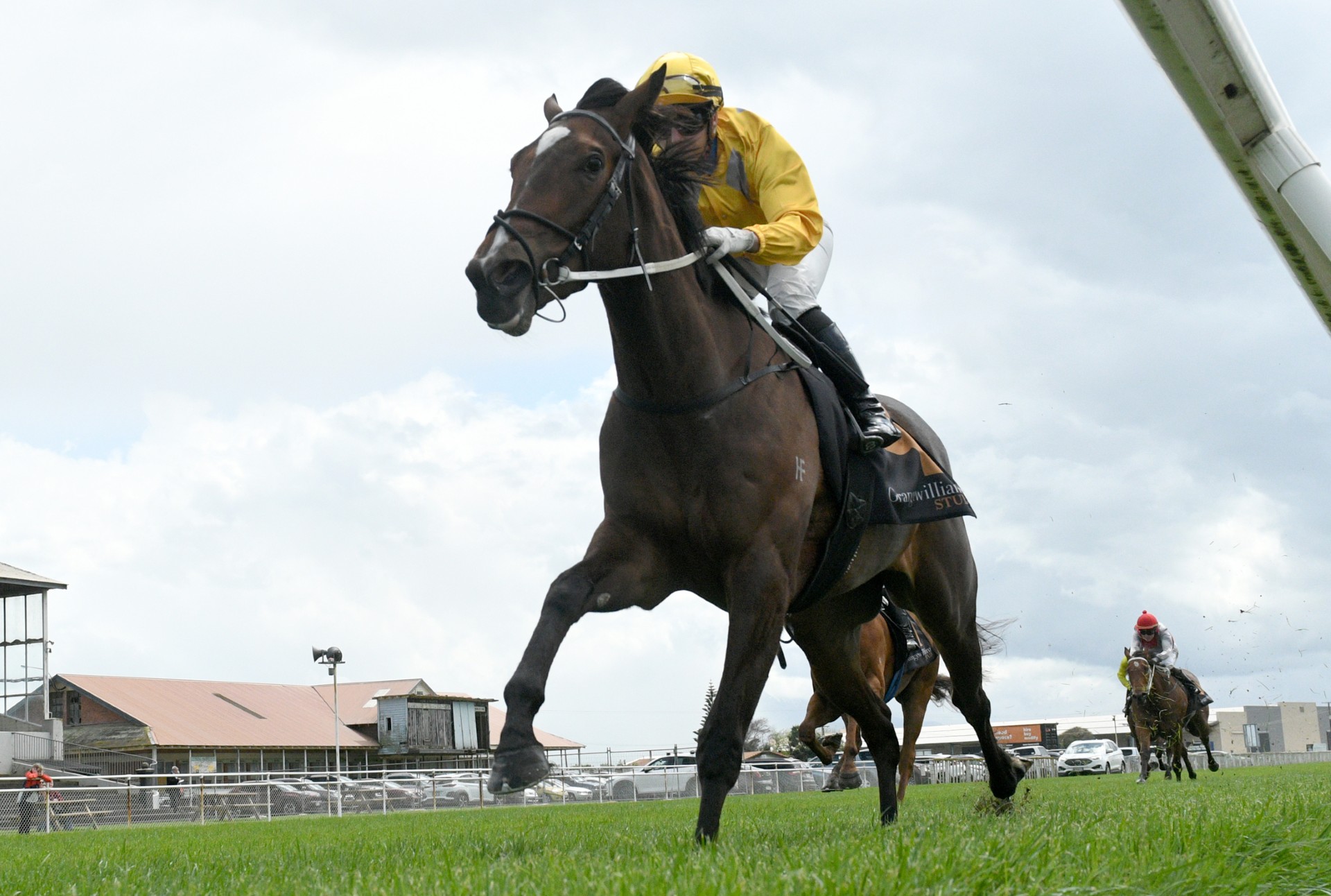 War Princess outclasses Hawera rivals