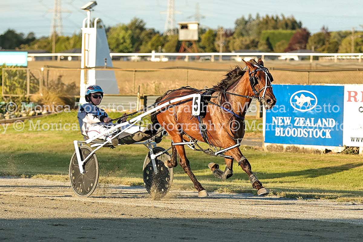Kerryn Tomlinson and Williamson Stable Shine at Winton