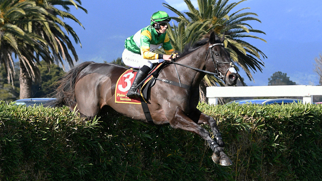 Billy Boy near-flawless in steeple debut