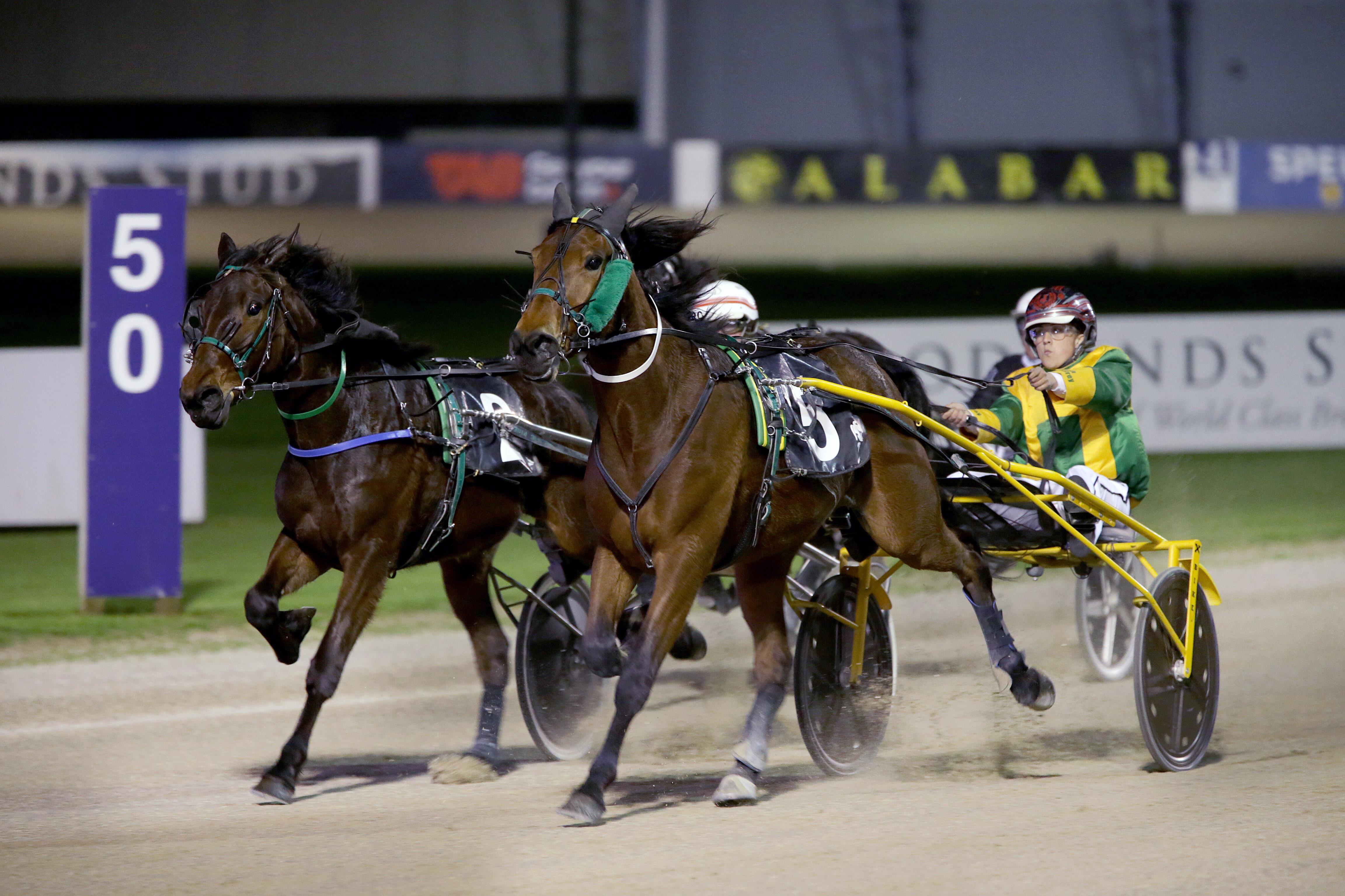 Aptly-named trotter goes two from two at Alexandra Park