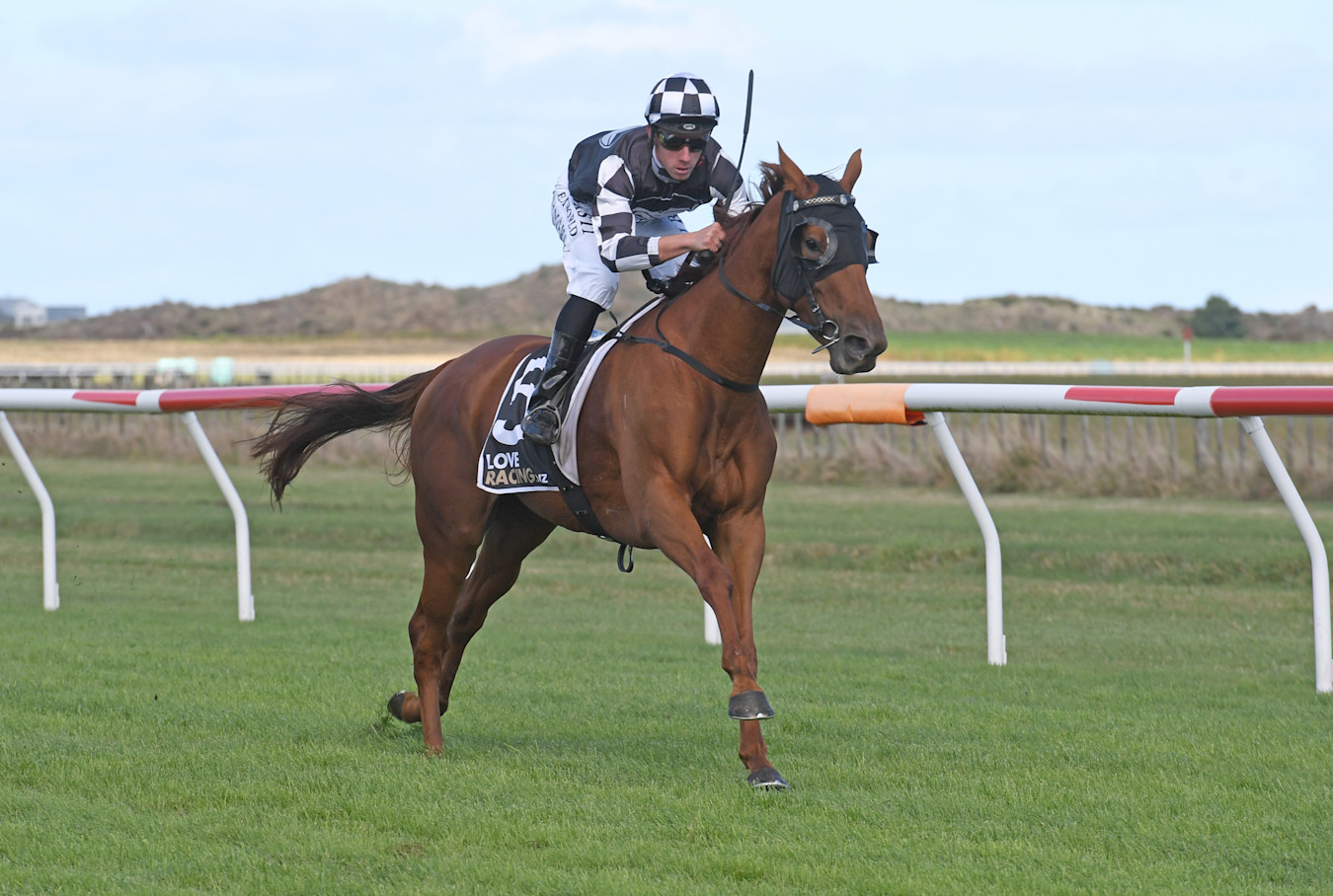 O’Malley makes winning return to the saddle
