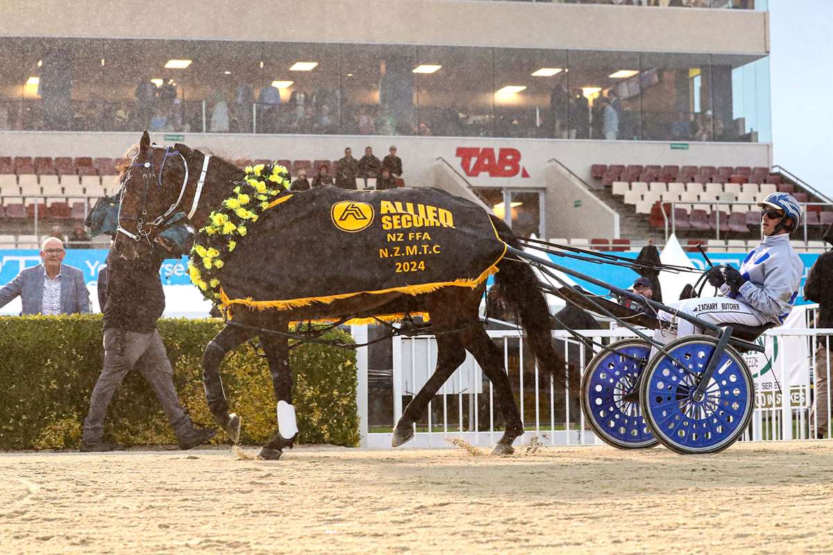 Merlin set for an early spell after luckless run