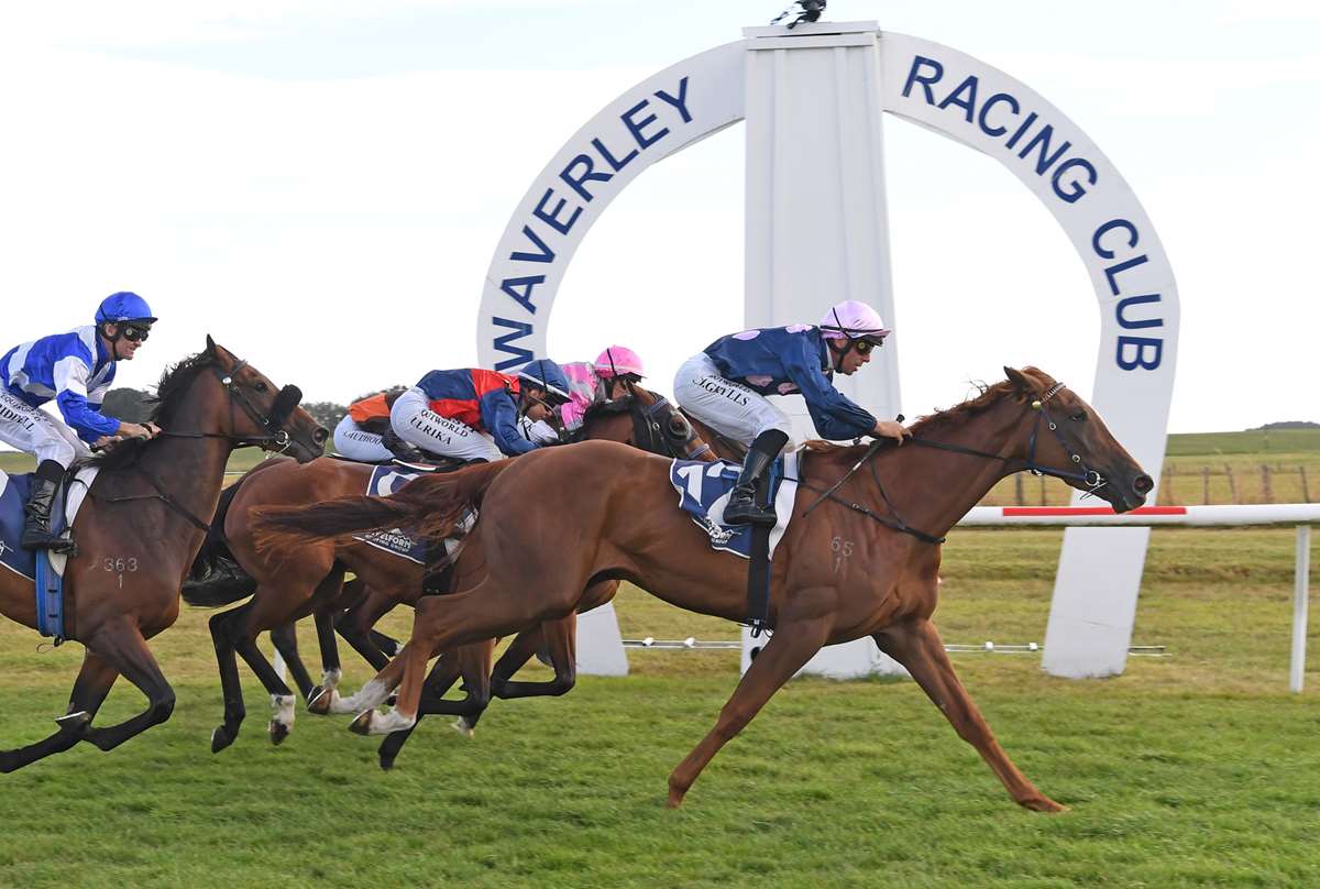 OTI add another twist to their Classics arsenal