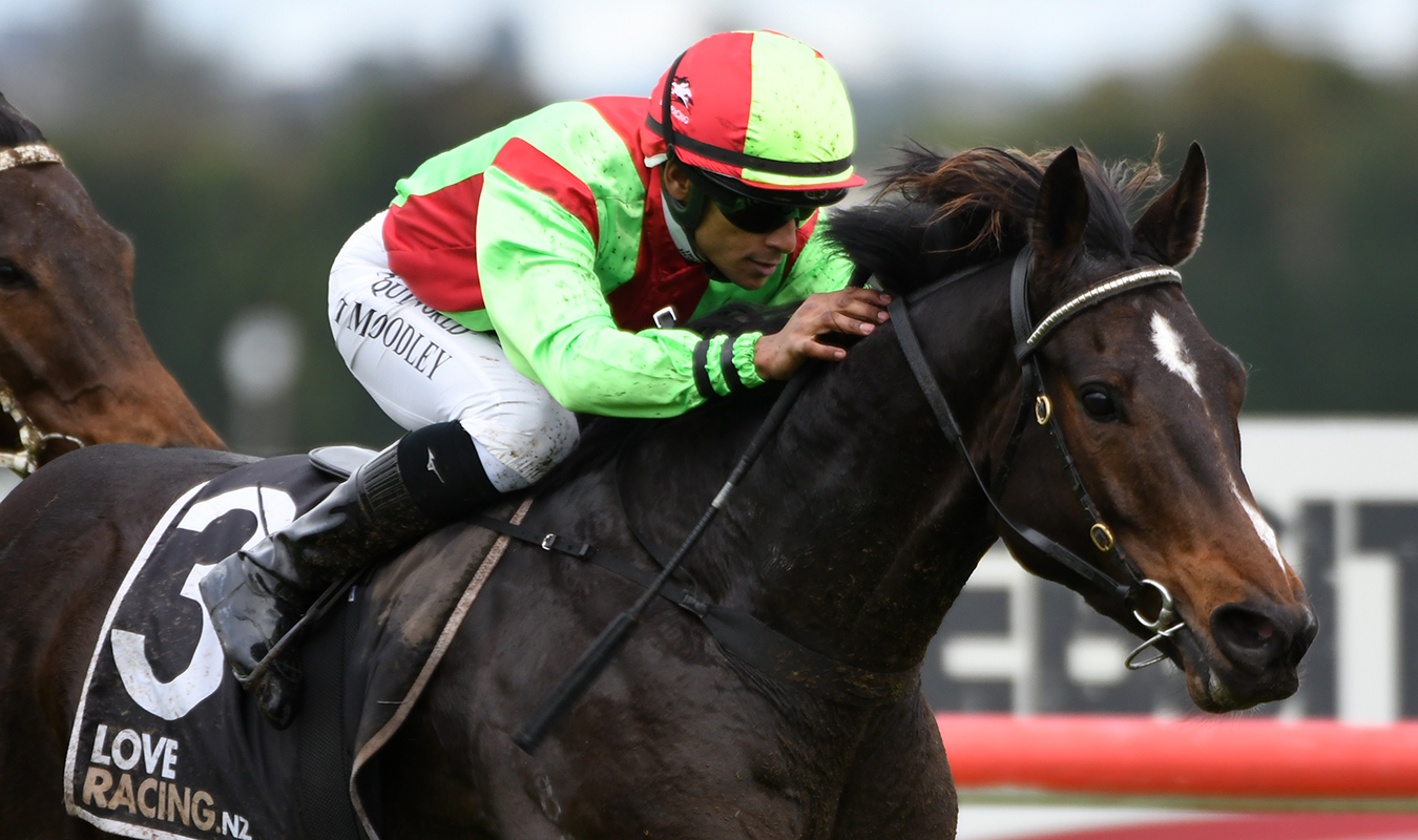 Twain too strong at Te Rapa