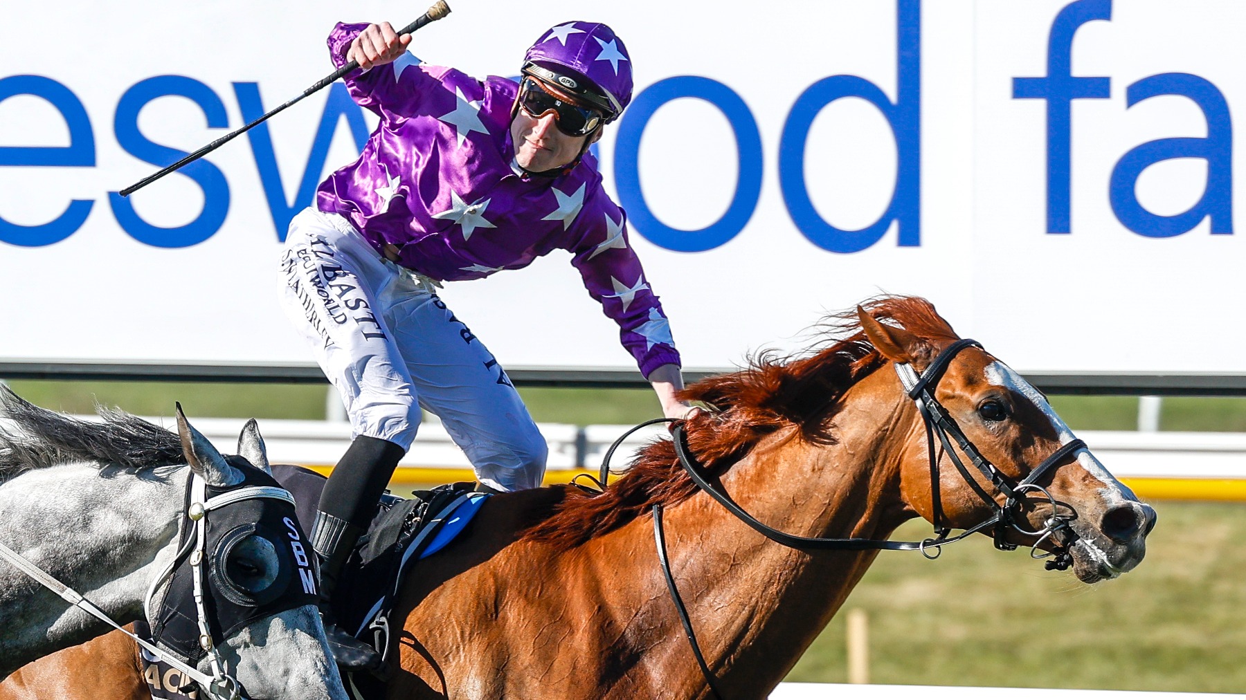 The return of the Cups King