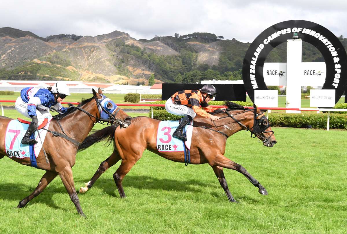 Town Cryer to be at full voice at Te Rapa