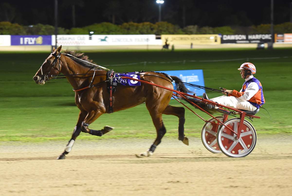 Young stars aim for glory at Alexandra Park races