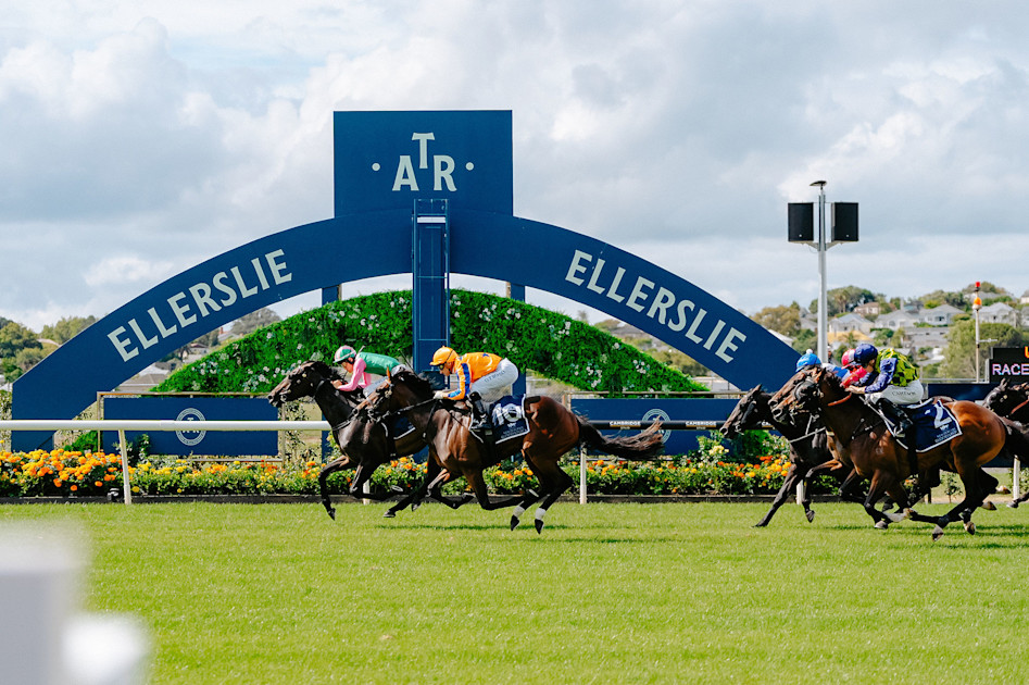 Stephen Hunt runs the numbers for Trentham and Ellerslie