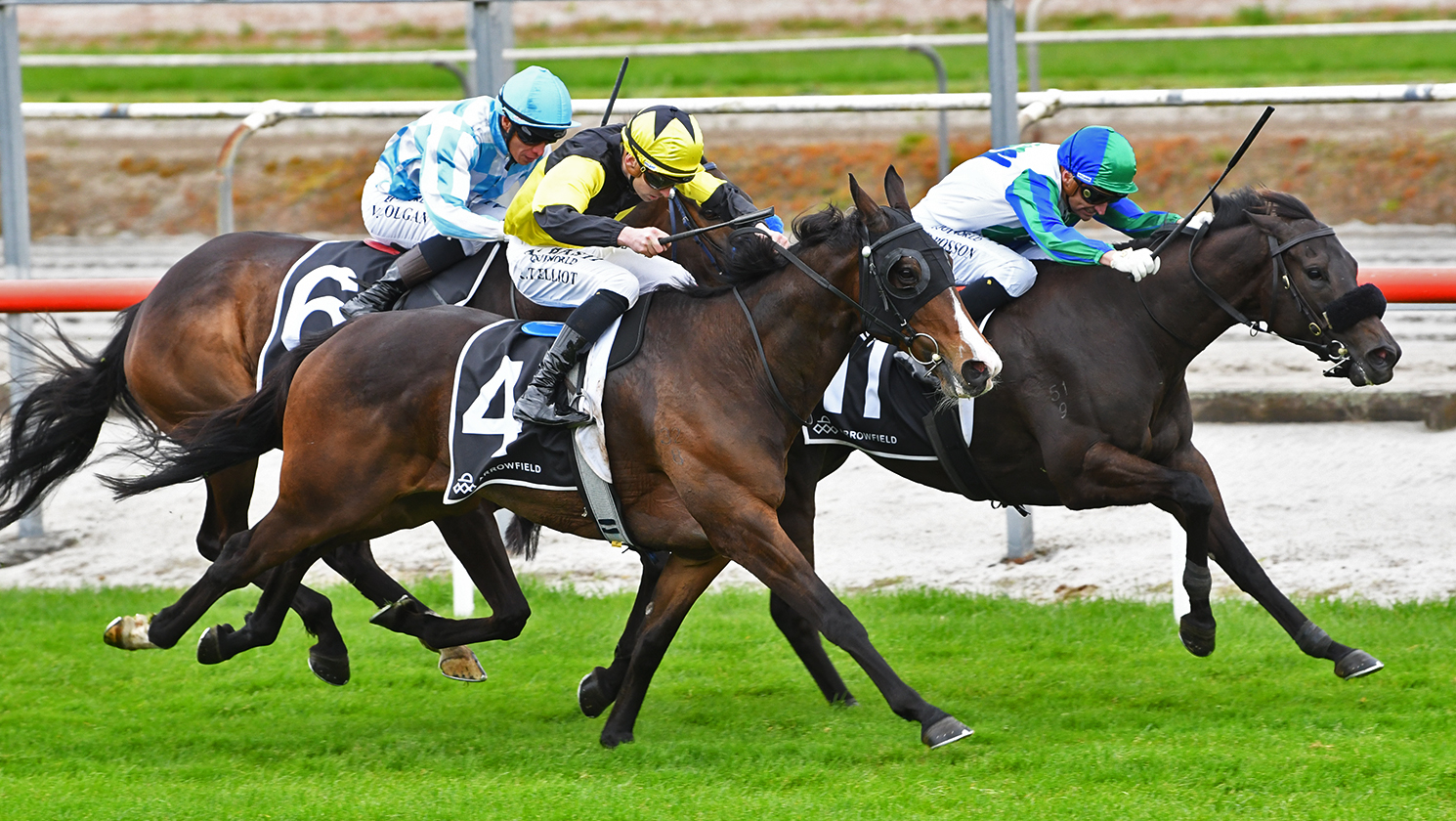 One Bold Cat pounces on Group One