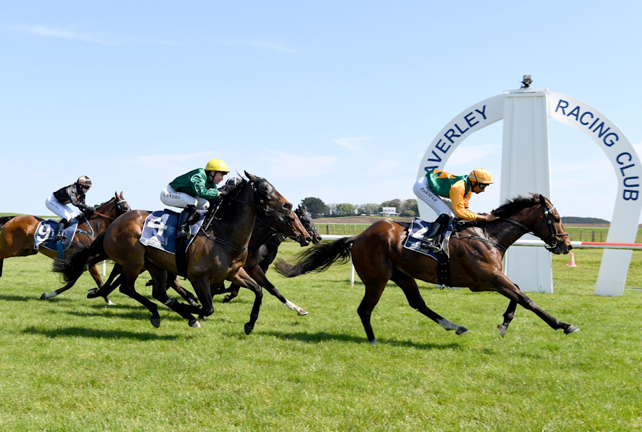 Thurlow set for first Matamata sortie