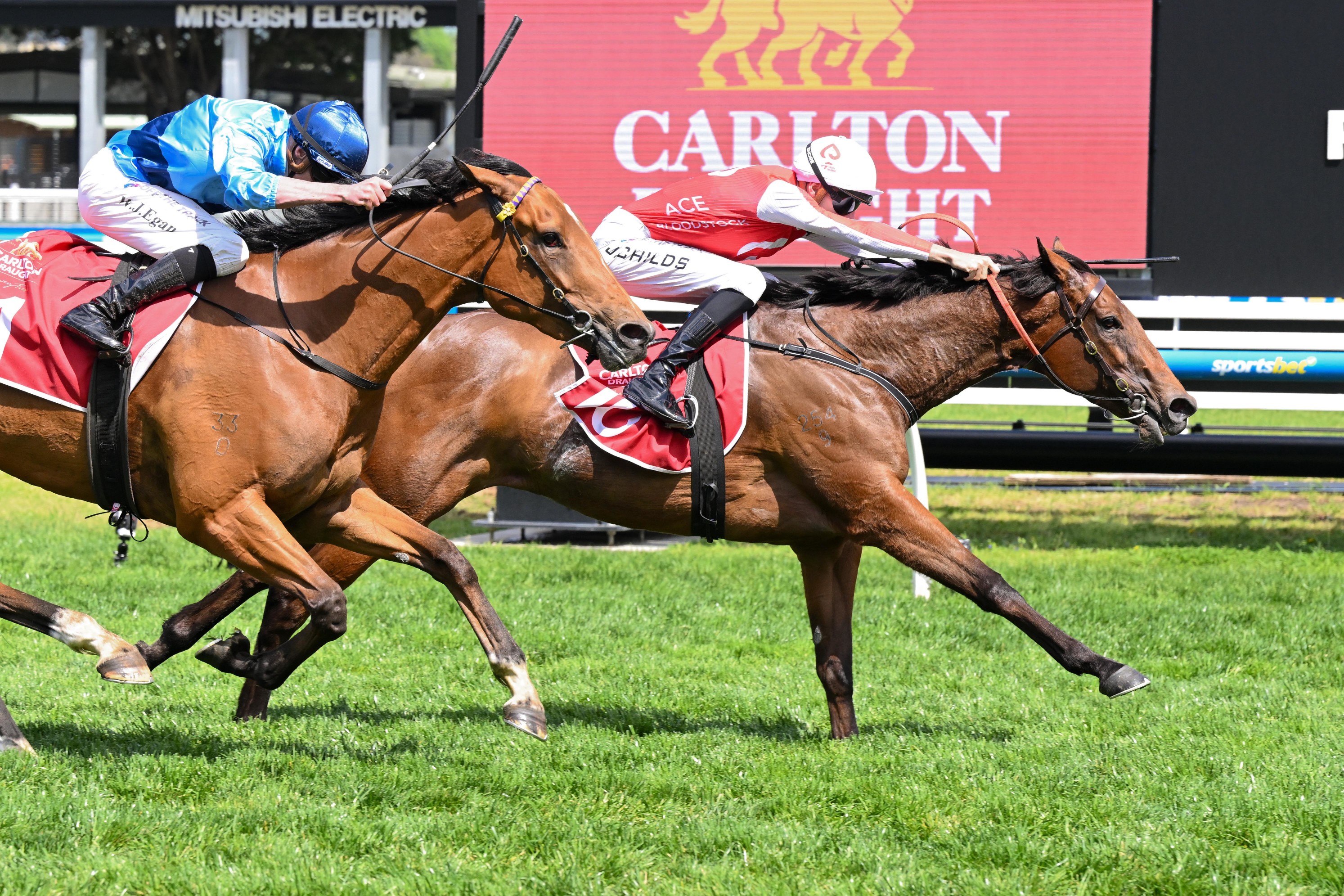 Former Kiwi provides Begg with stakes triumph