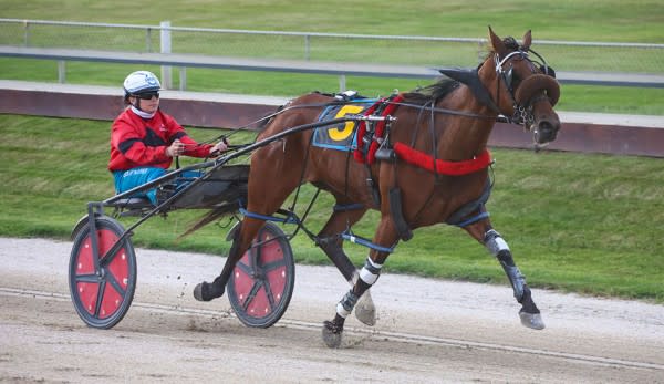 Three wins each for Negus and Ferguson