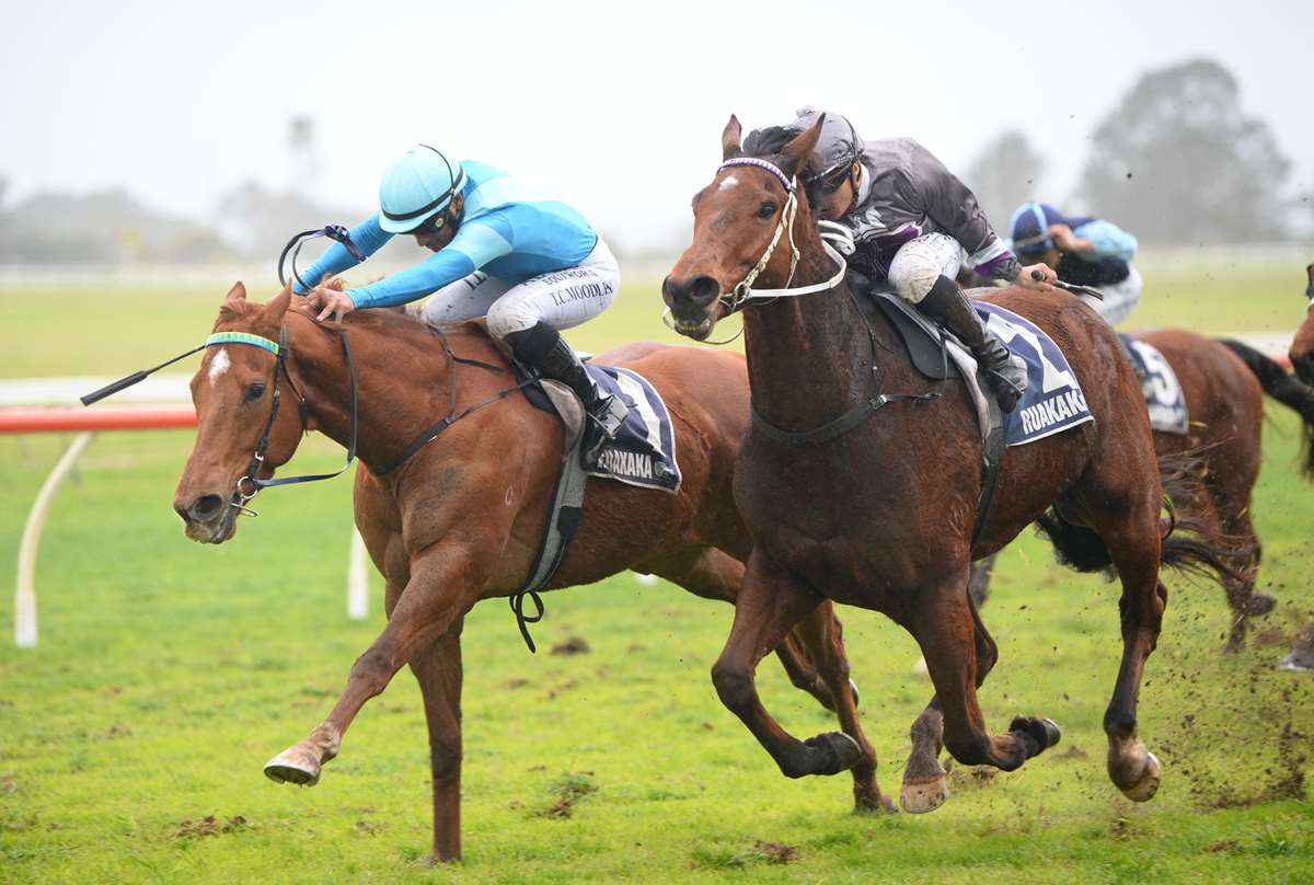 Justin Evans previews Tarzino Trophy Day at Hastings
