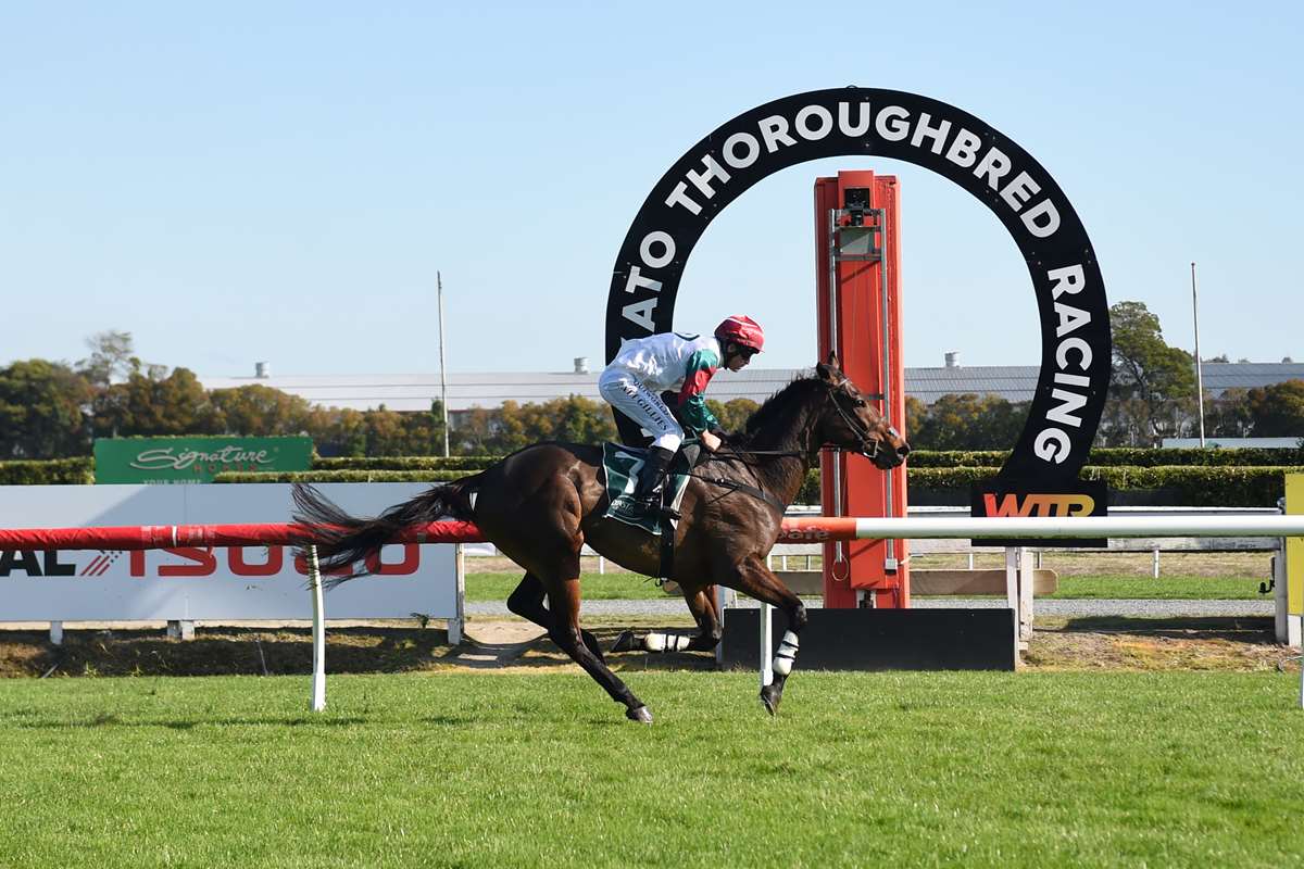 Nelson and McDougal out to extend Steeplechase streak