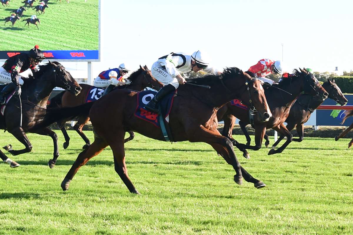 Stephen Hunt runs the numbers from North to South