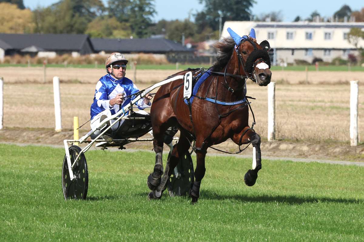 Picking winners at Winton on Wairio Cup day