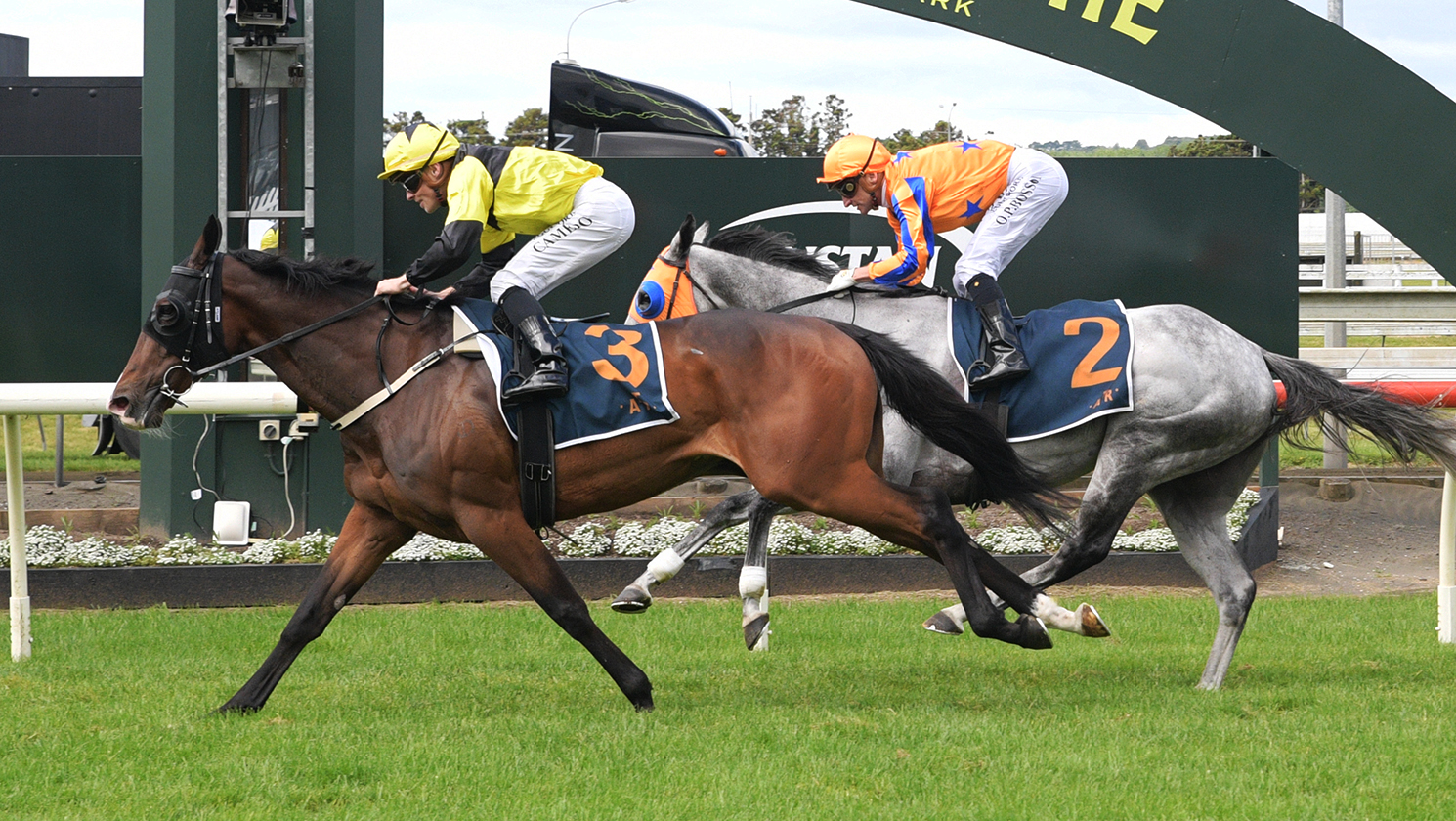 Bold pairing on track for Arrowfield