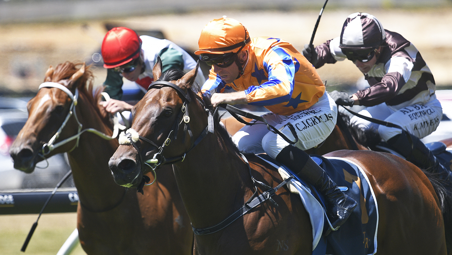 Brave colt flying Nearco flag for Millions