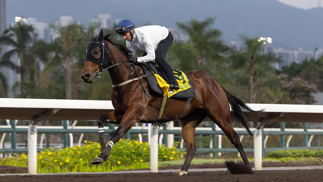 Ka Ying Rising shoots for 16 in a row with Sprint defence