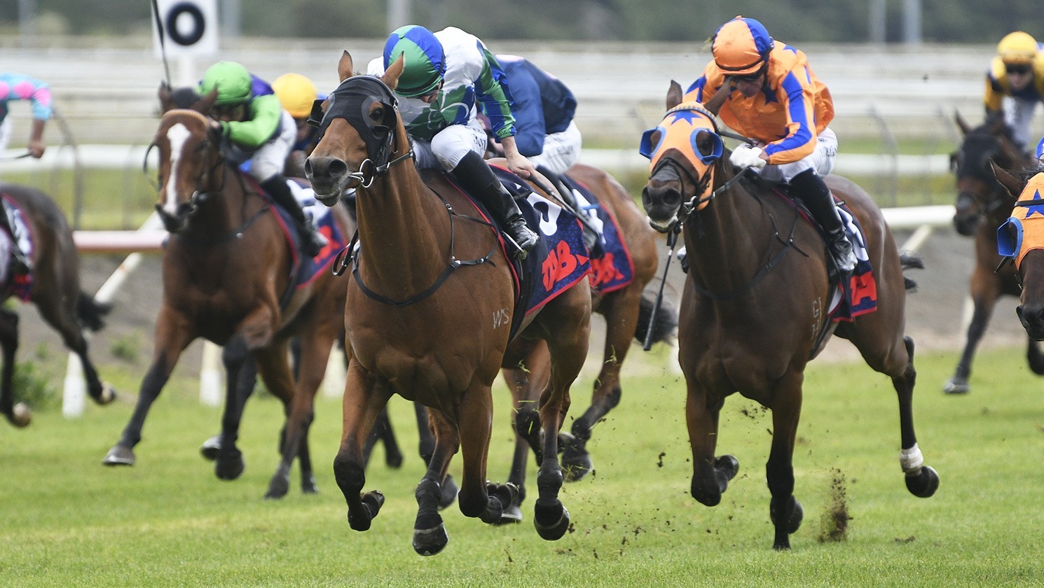 Nereus faces weighty Queen Elizabeth challenge