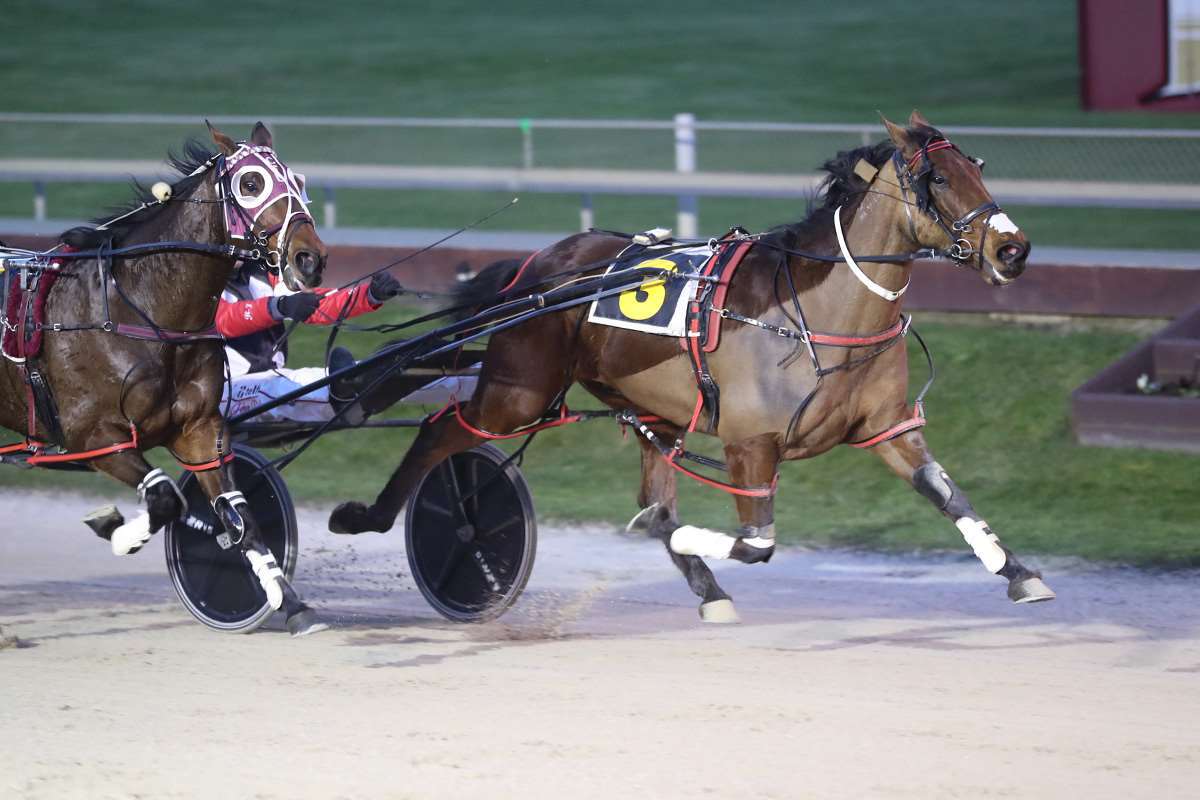 Harness Hub with Matt Cross