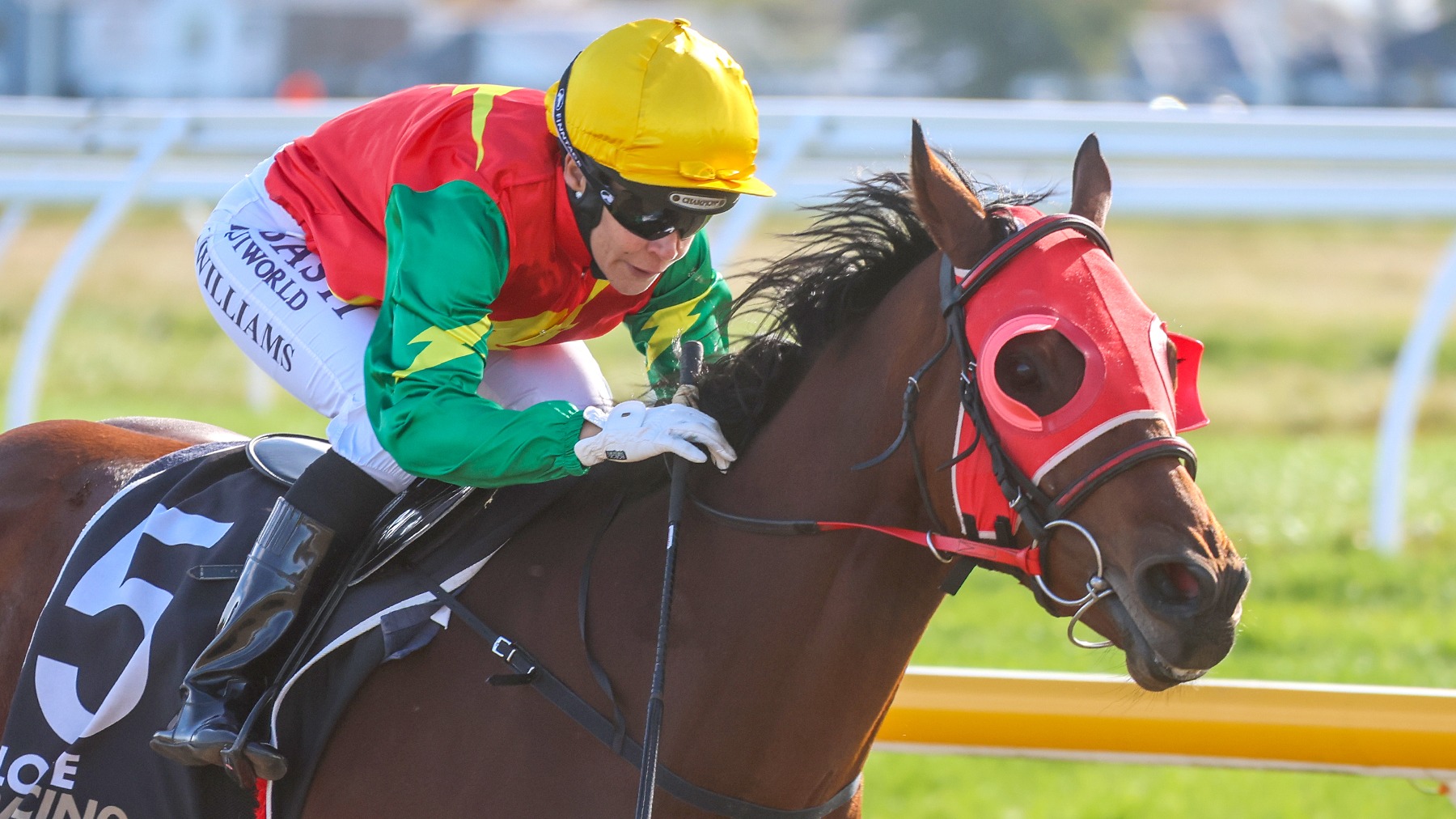 There’s gold in the pan, but Kurow first for Ocean Light