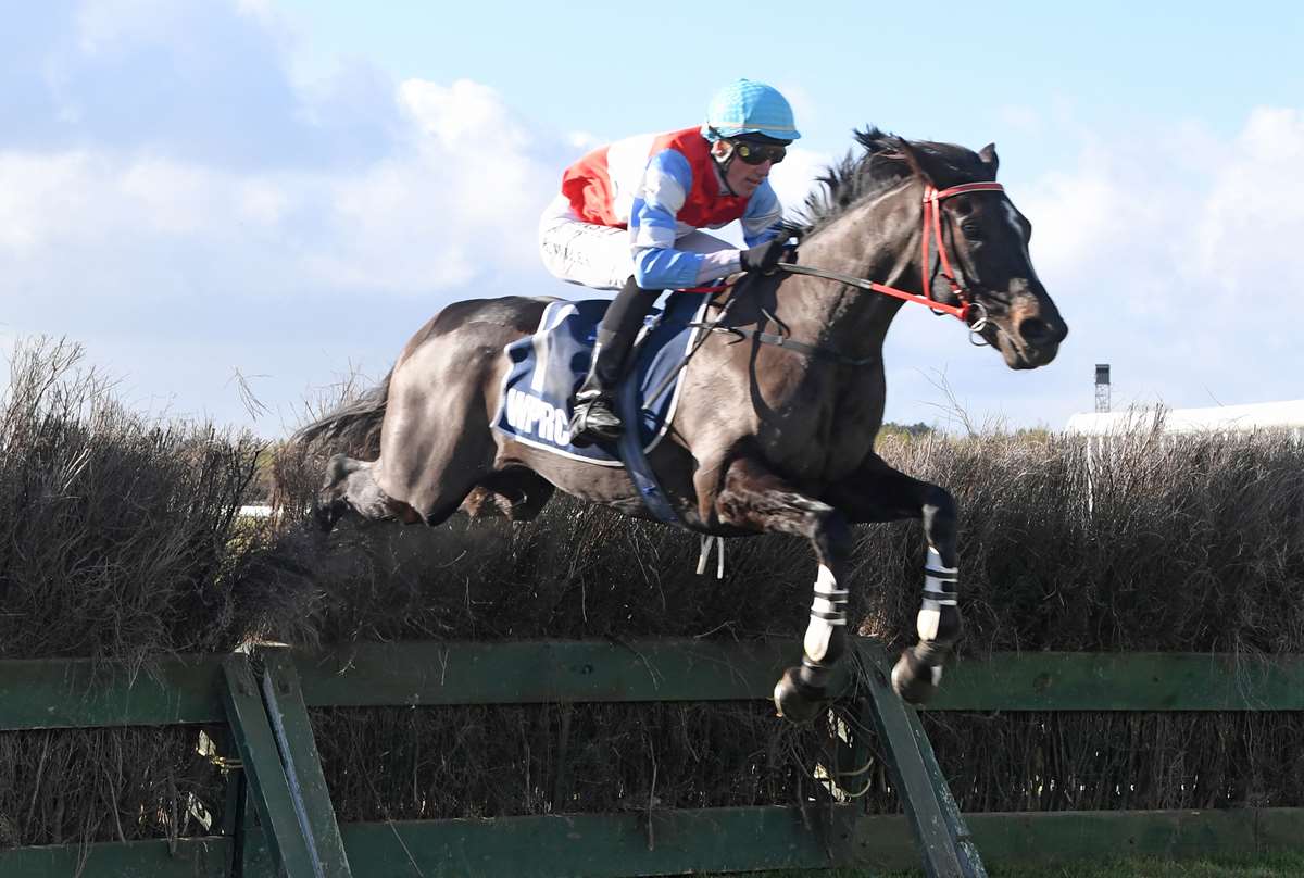 Great Northern duo to cap big week for Brosnan