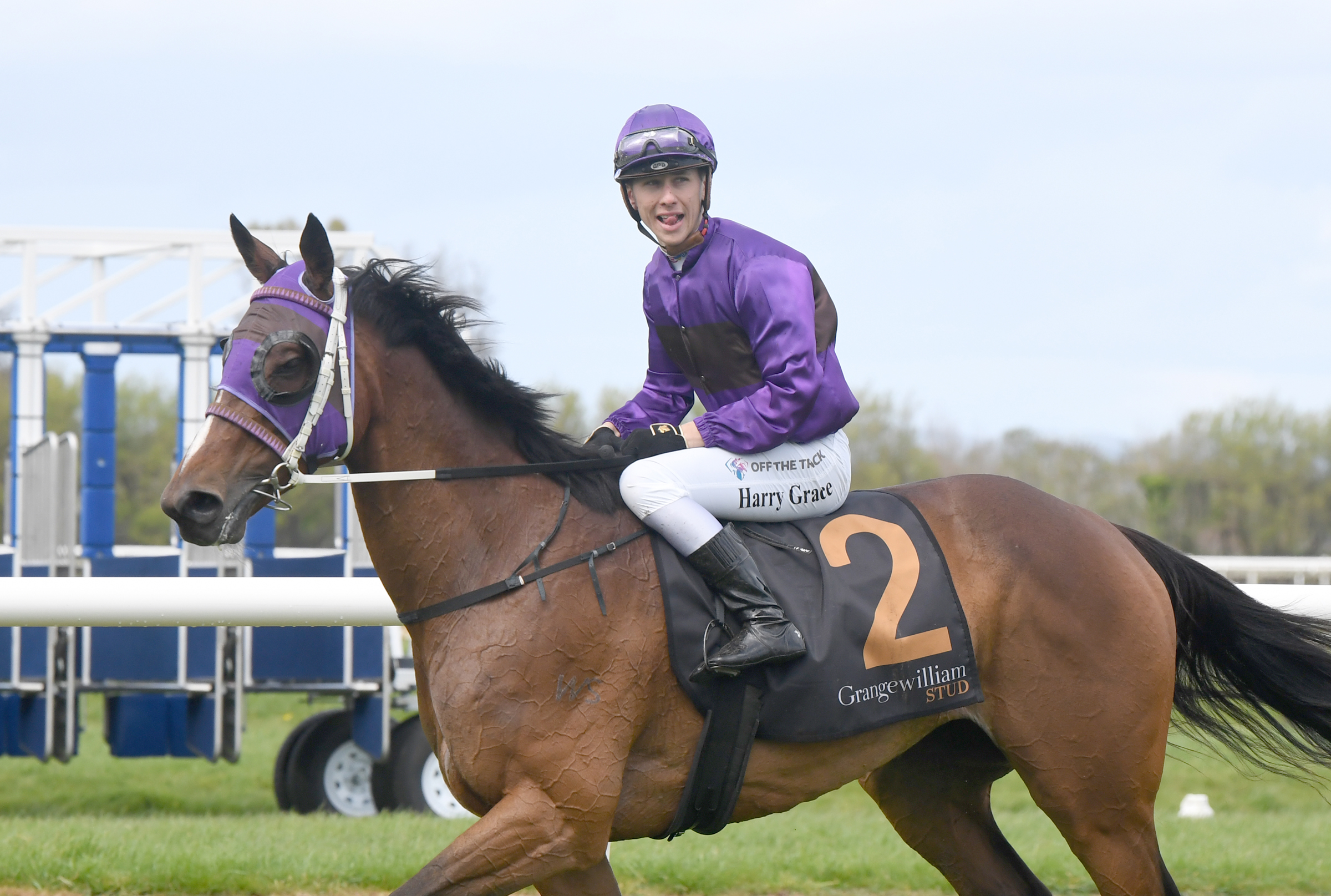 Harry Grace opens New Zealand account in Egmont Cup